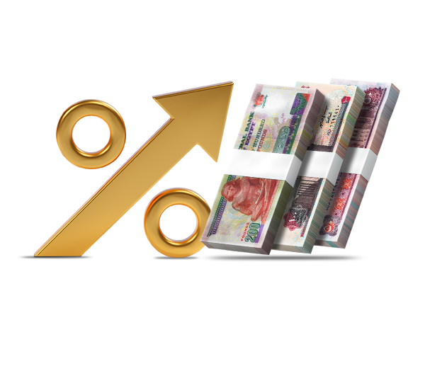 Diamond Plus - Payroll Services | Business | CIB Egypt