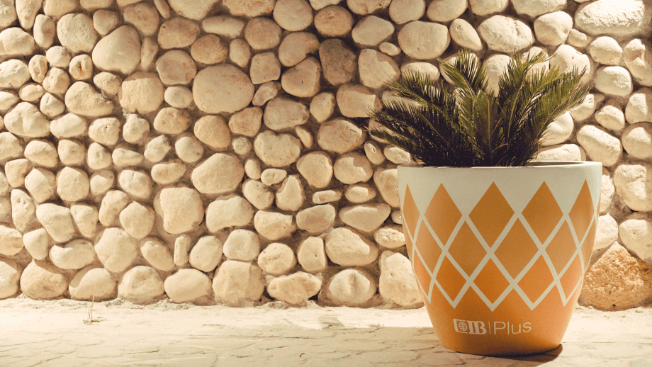 Plus Segment | CIB Egypt